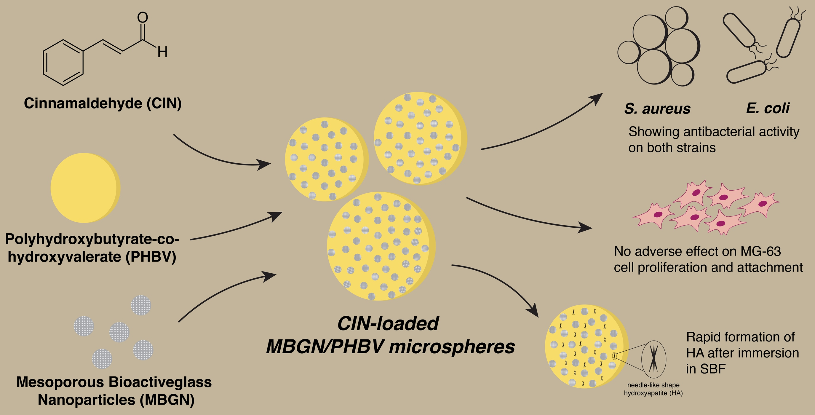 Polymers | Free Full-Text | Fabrication and Characterization of ...
