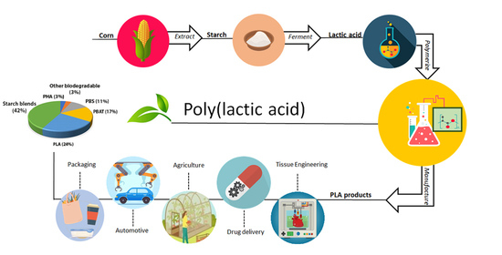 Polymers | Free Full-Text | Poly(lactic Acid): A Versatile Biobased ...