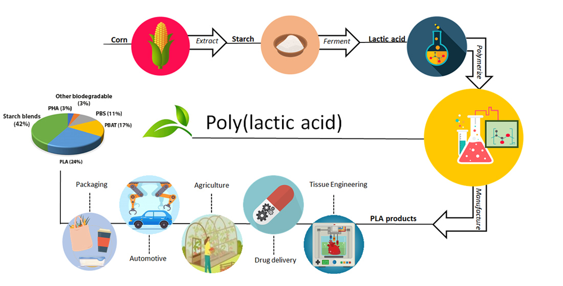 Polymers | Free Full-Text | Poly(lactic Acid): A Versatile Biobased Polymer for the Future with ...