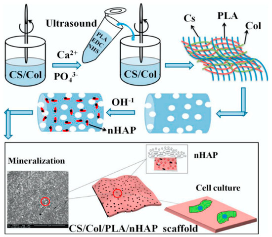 Poly(lactic Acid): A Versatile Biobased Polymer for the Future with ...