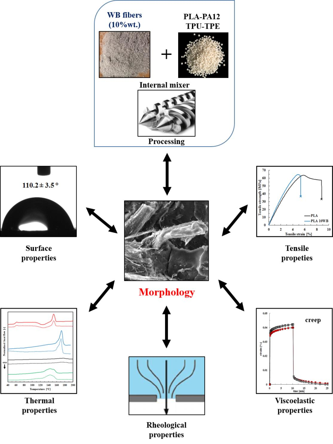 Polymers | Free Full-Text | Thermo-Mechanical and Morphological ...