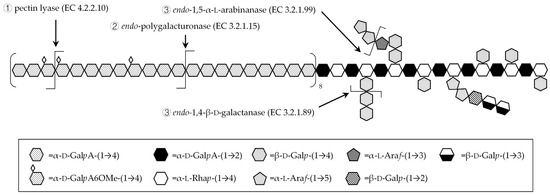 Structural Characterization of Pectic Polysaccharides in the Cell Wall ...