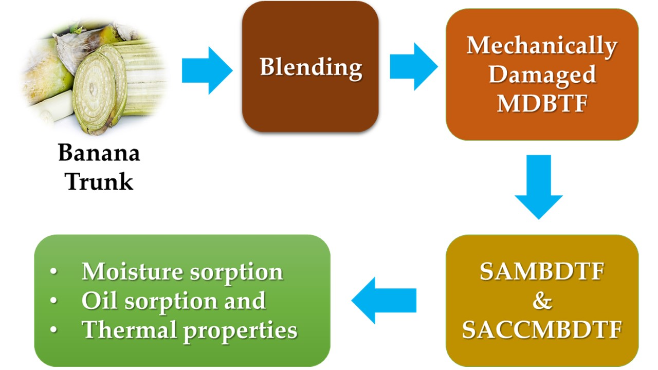 Polymers | Free Full-Text | Chemical Modification of Banana Trunk ...