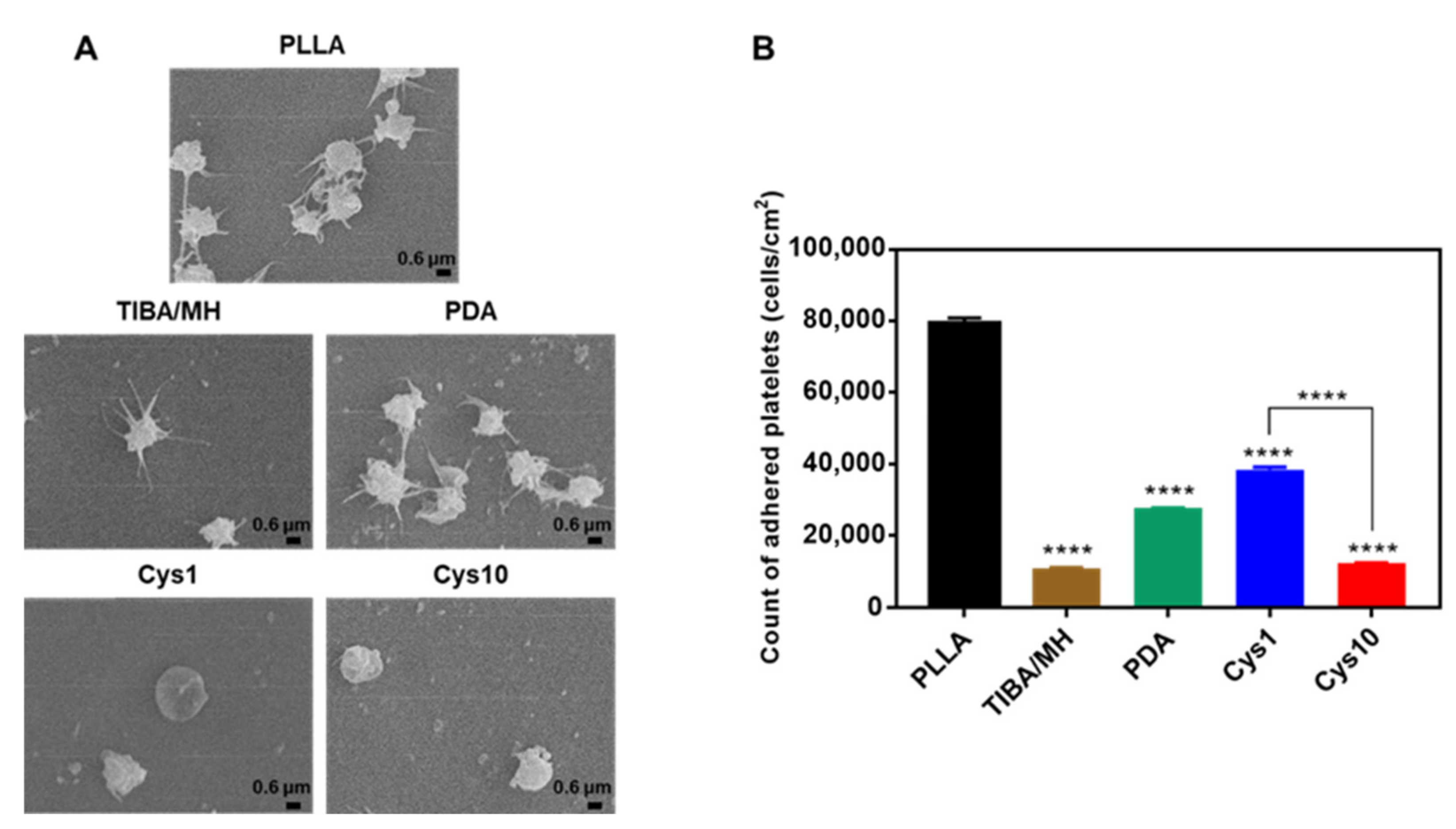 Multifunctional Biodegradable Vascular PLLA Scaffold with Improved X ...