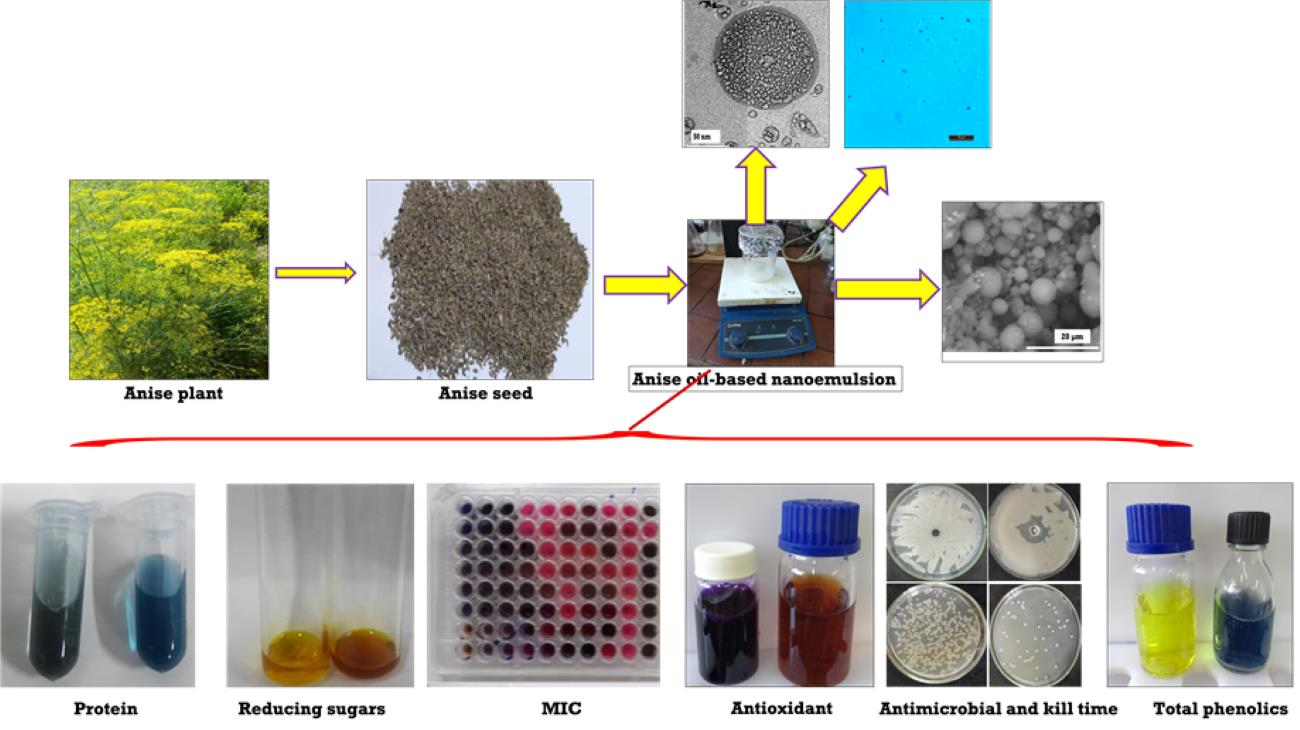 Polymers | Free Full-Text | Facile Synthesis of Natural Anise-Based ...