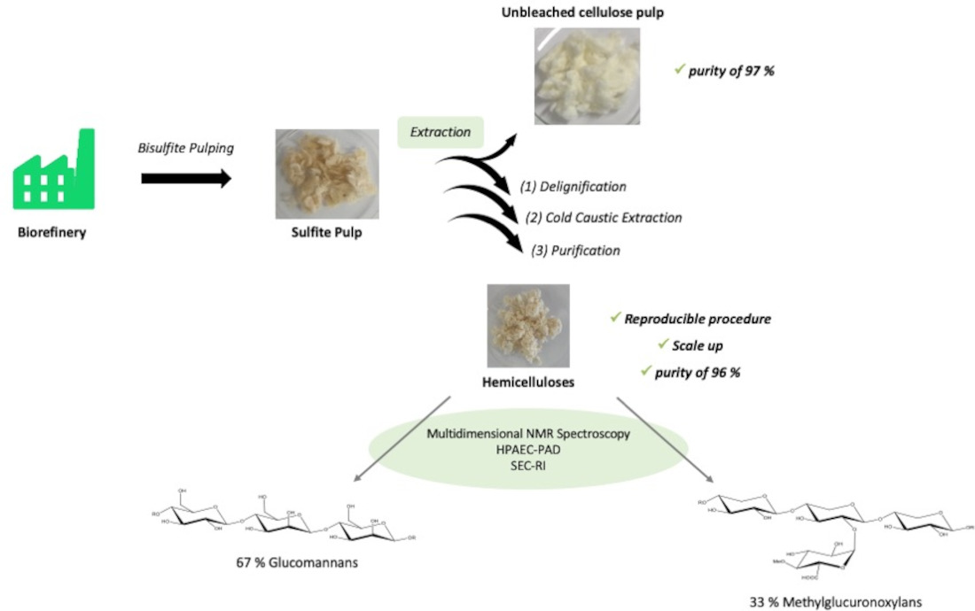 Polymers | Free Full-Text | Extraction and Characterization of ...