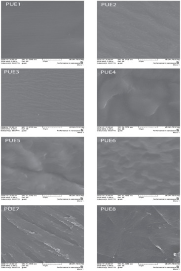 Impact of Macrodiols on the Morphological Behavior of H12MDI/HDO-Based ...