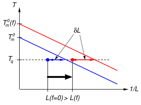 Crystallization of Polymers under the Influence of an External Force Field