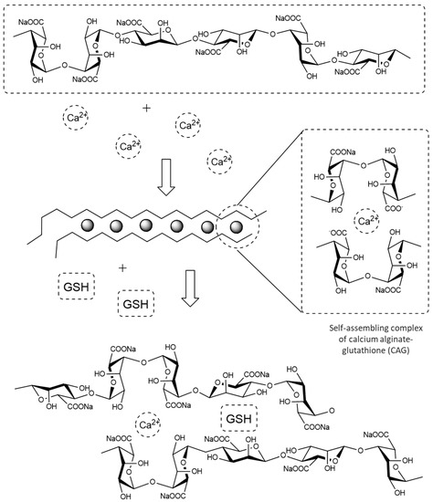 Design and Optimization of a Self-Assembling Complex Based on ...