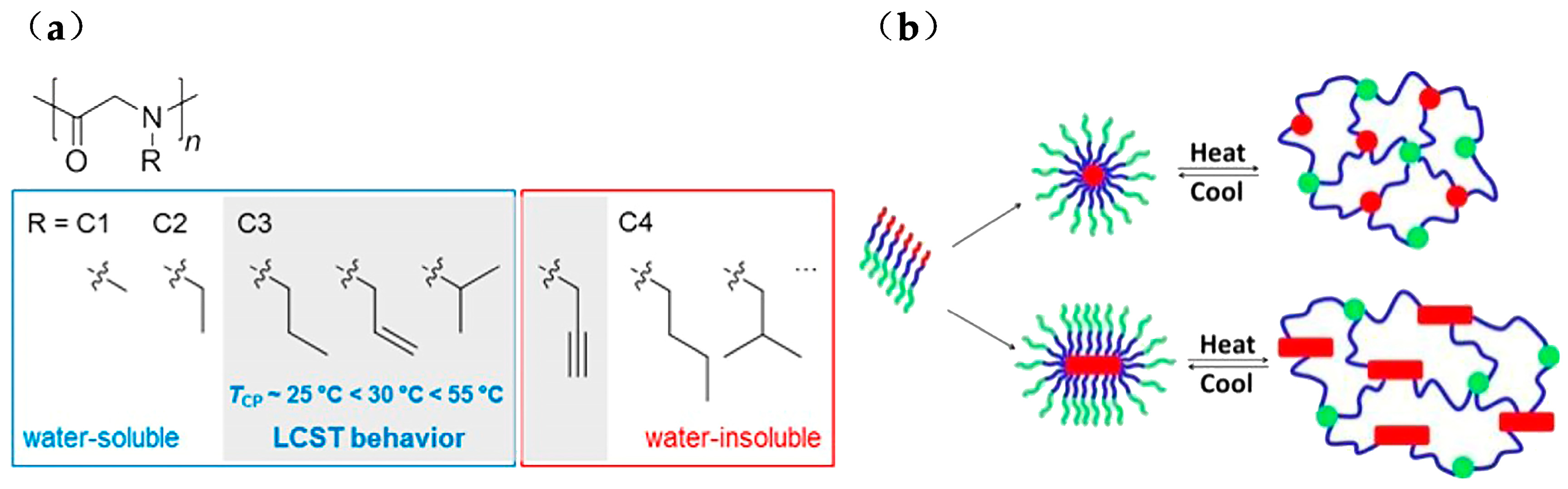 Stimulus-Responsive Polymers Based on Polypeptoid Skeletons