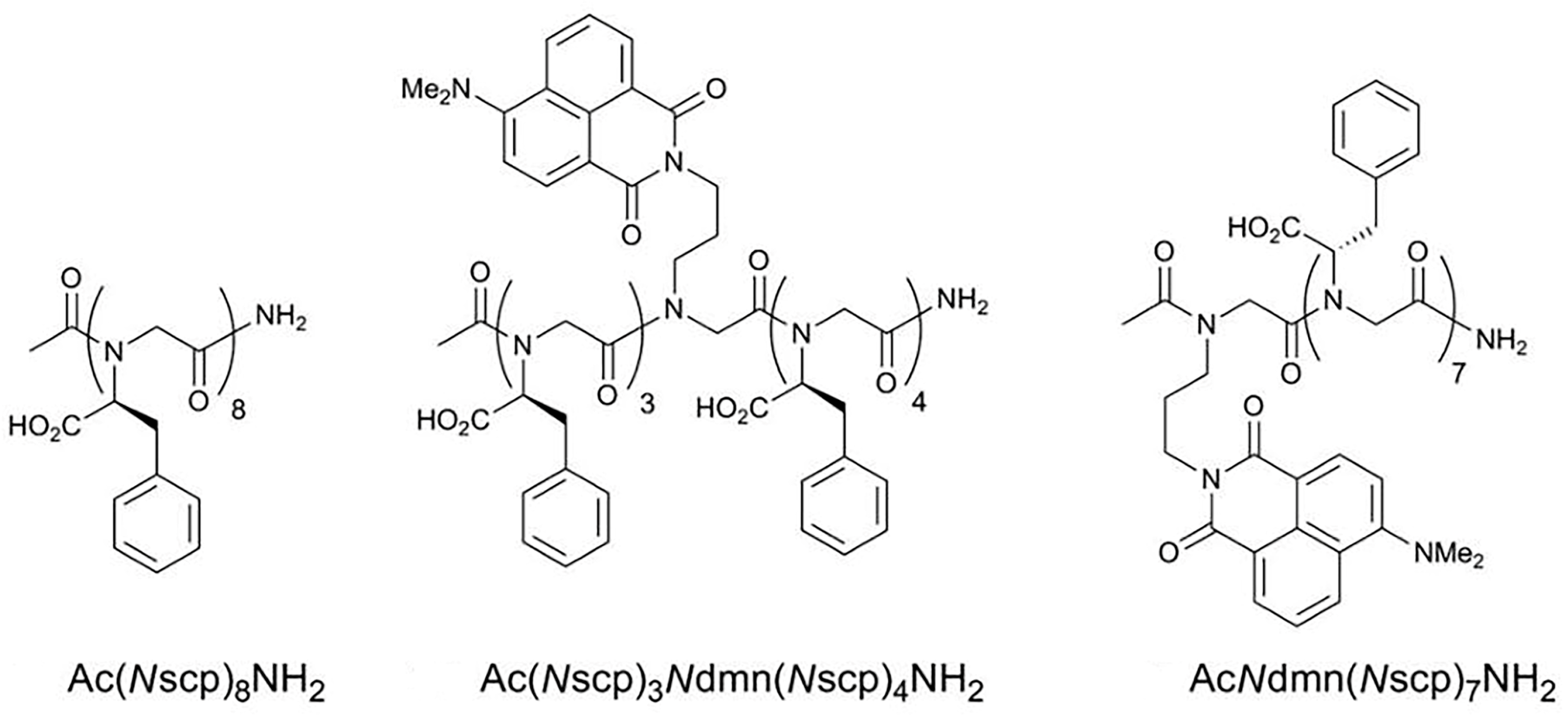 Stimulus-Responsive Polymers Based on Polypeptoid Skeletons