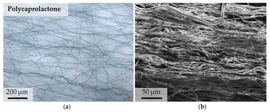 In Situ Characterization of Polycaprolactone Fiber Response to Quasi ...