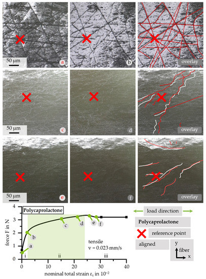 In Situ Characterization of Polycaprolactone Fiber Response to Quasi ...