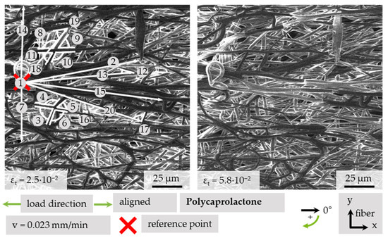 In Situ Characterization of Polycaprolactone Fiber Response to Quasi ...