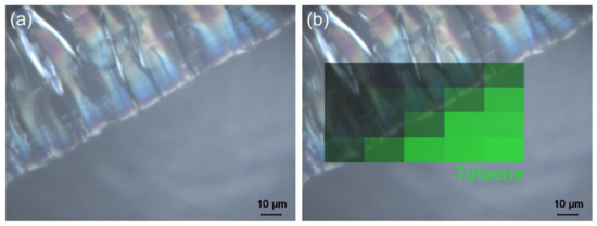 Ageing Effects in Mounting Media of Microscope Slide Samples from ...