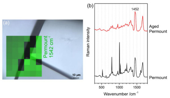 Ageing Effects in Mounting Media of Microscope Slide Samples from ...