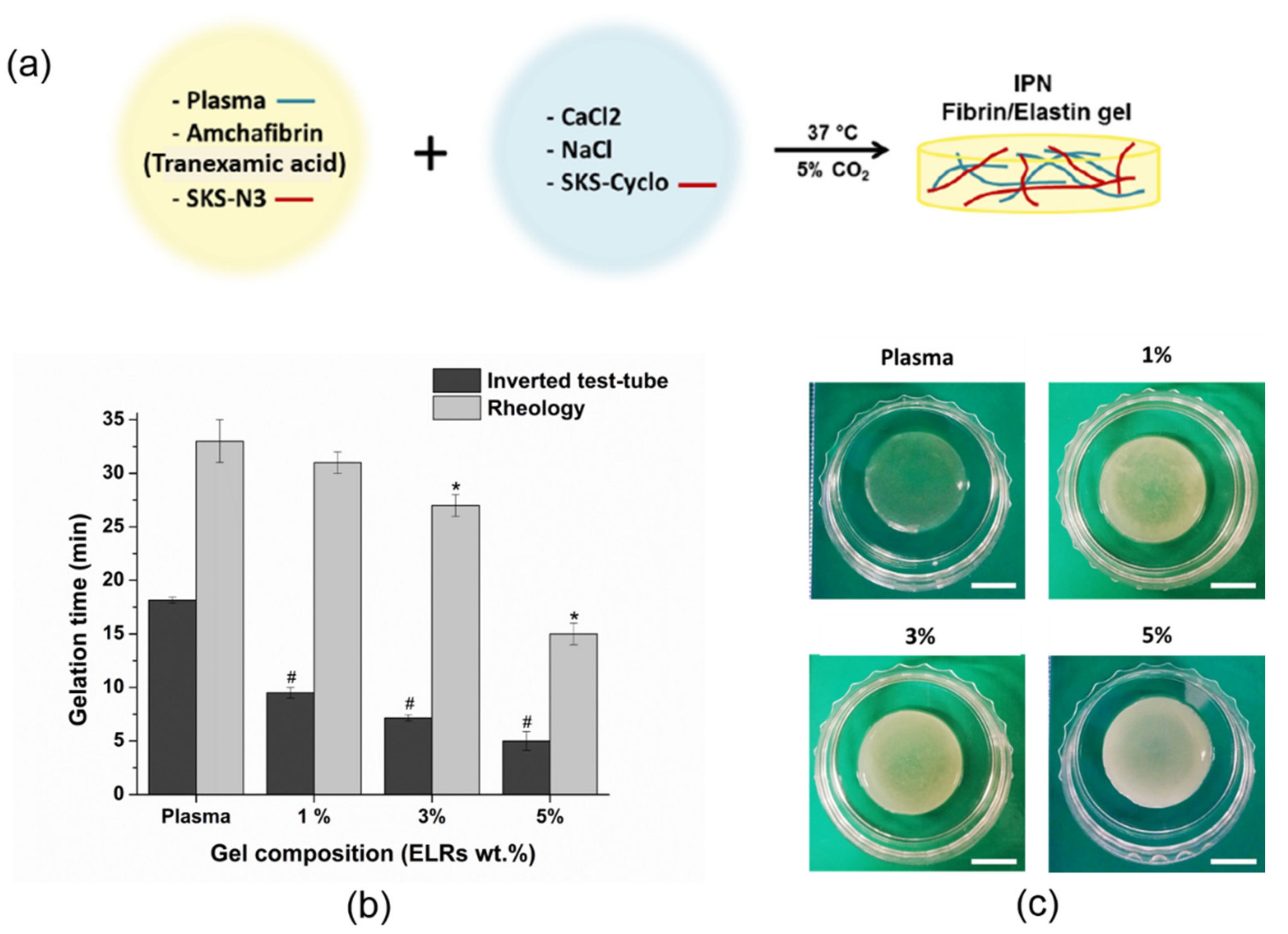 Polymers | Free Full-Text | Elastin-Plasma Hybrid Hydrogels for Skin ...