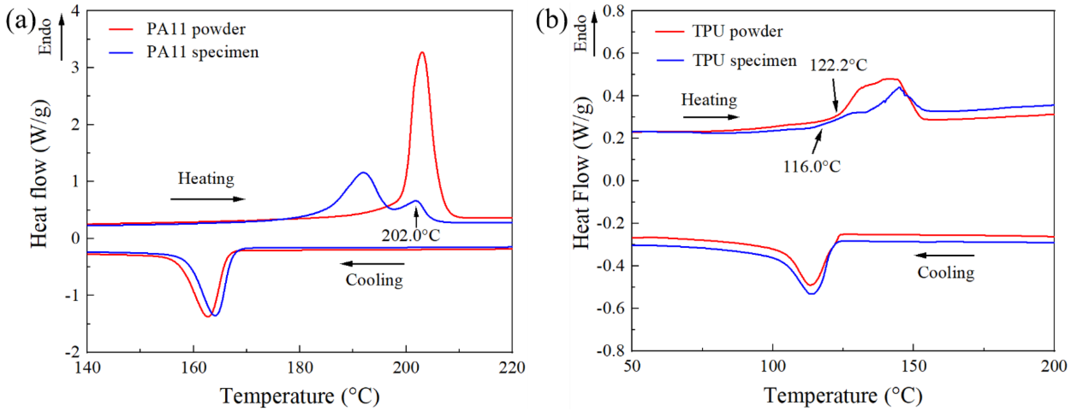 A Comprehensive Investigation on 3D Printing of Polyamide 11 and ...