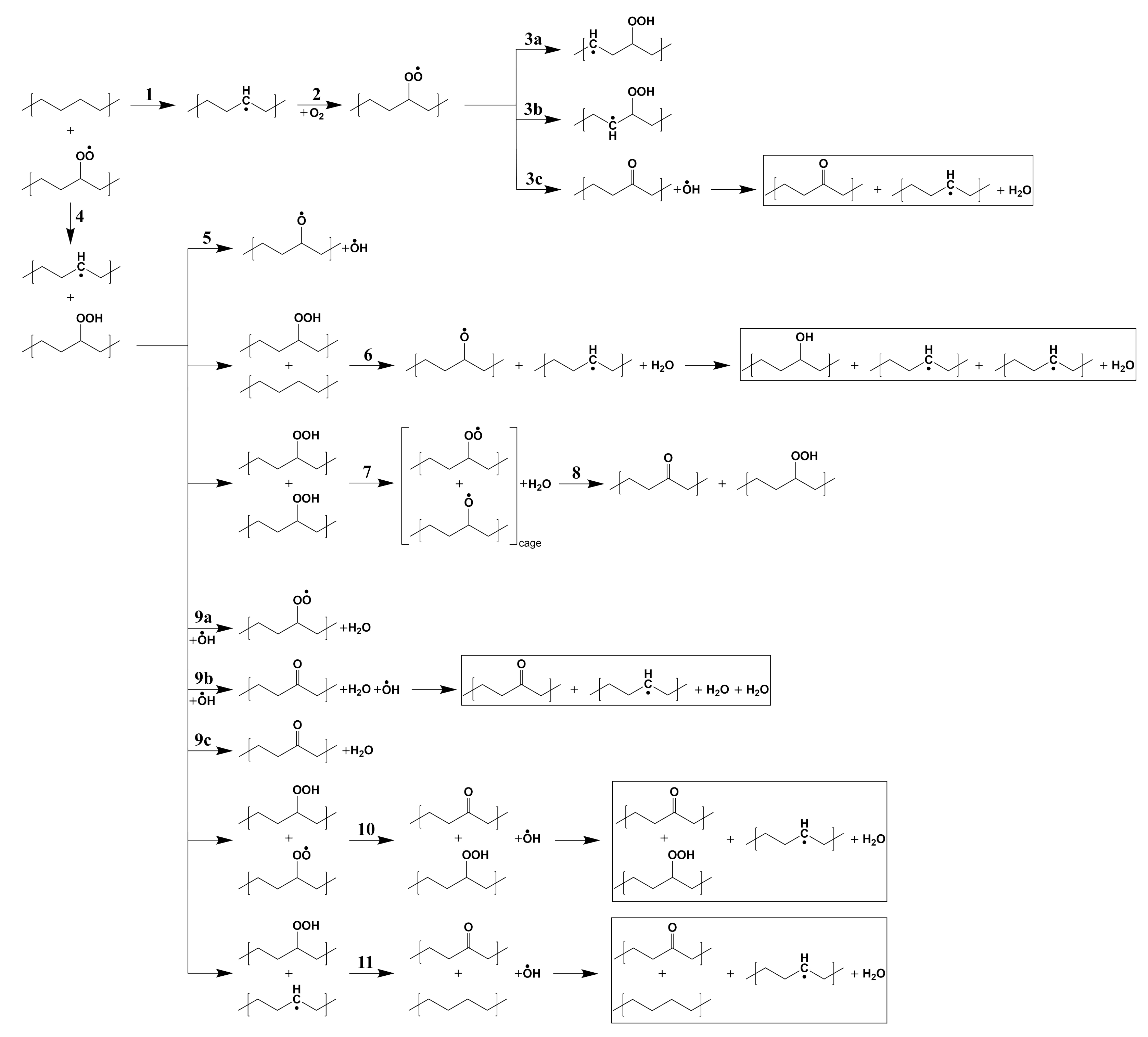 Atomic Scale Mechanisms Controlling the Oxidation of Polyethylene: A ...