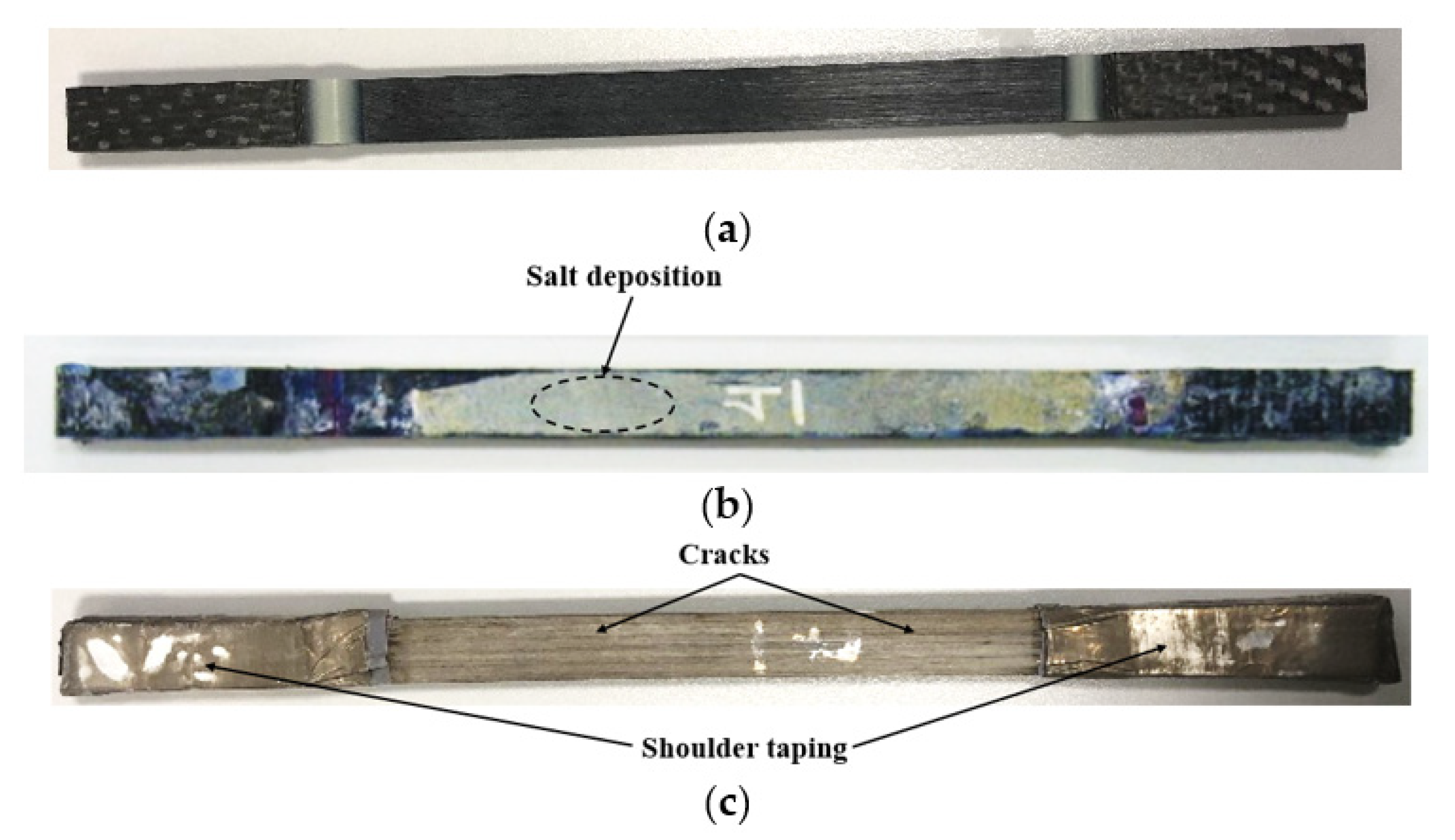 Investigation on the Durability of E-Glass/Epoxy Composite Exposed to ...