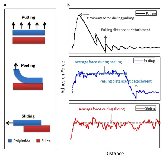 Review on Interfacial Bonding Mechanism of Functional Polymer Coating ...