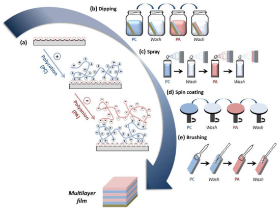 Polyelectrolyte Multilayer Films Based on Natural Polymers: From ...