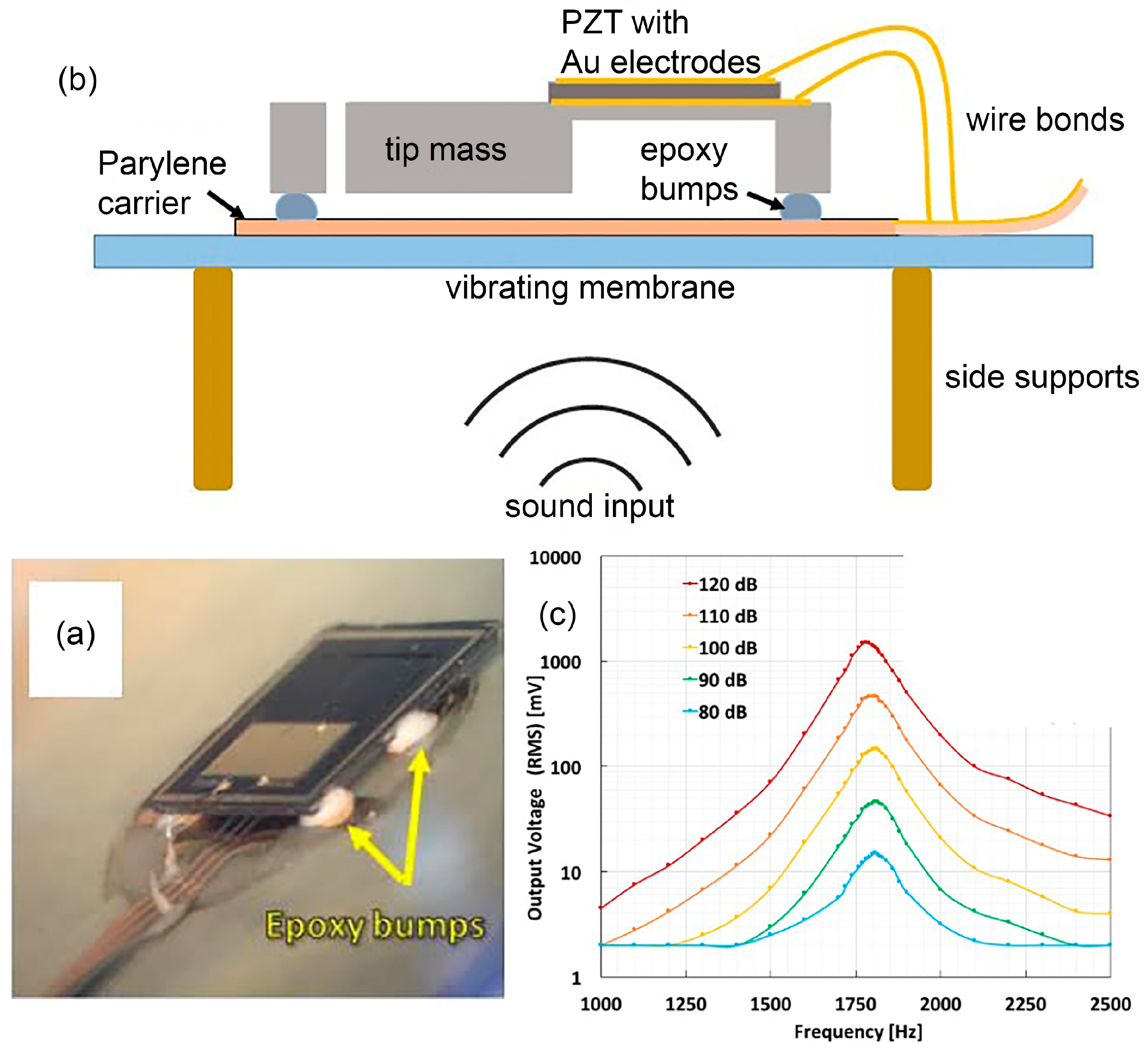 Mechanical Energy Sensing and Harvesting in Micromachined Polymer-Based ...