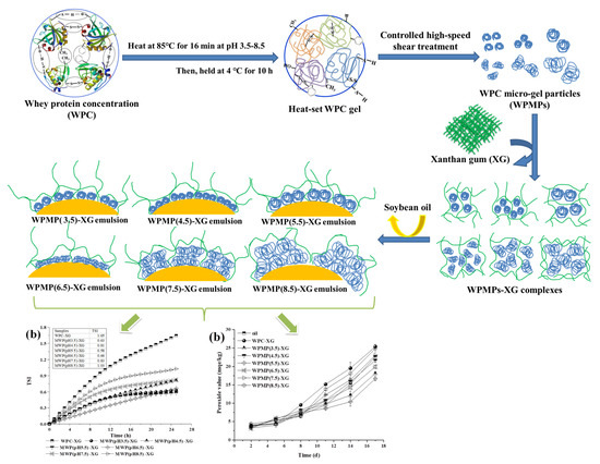 Polymers | Free Full-Text | Influence of Whey Protein Micro-Gel ...