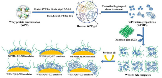 Influence of Whey Protein Micro-Gel Particles and Whey Protein Micro ...