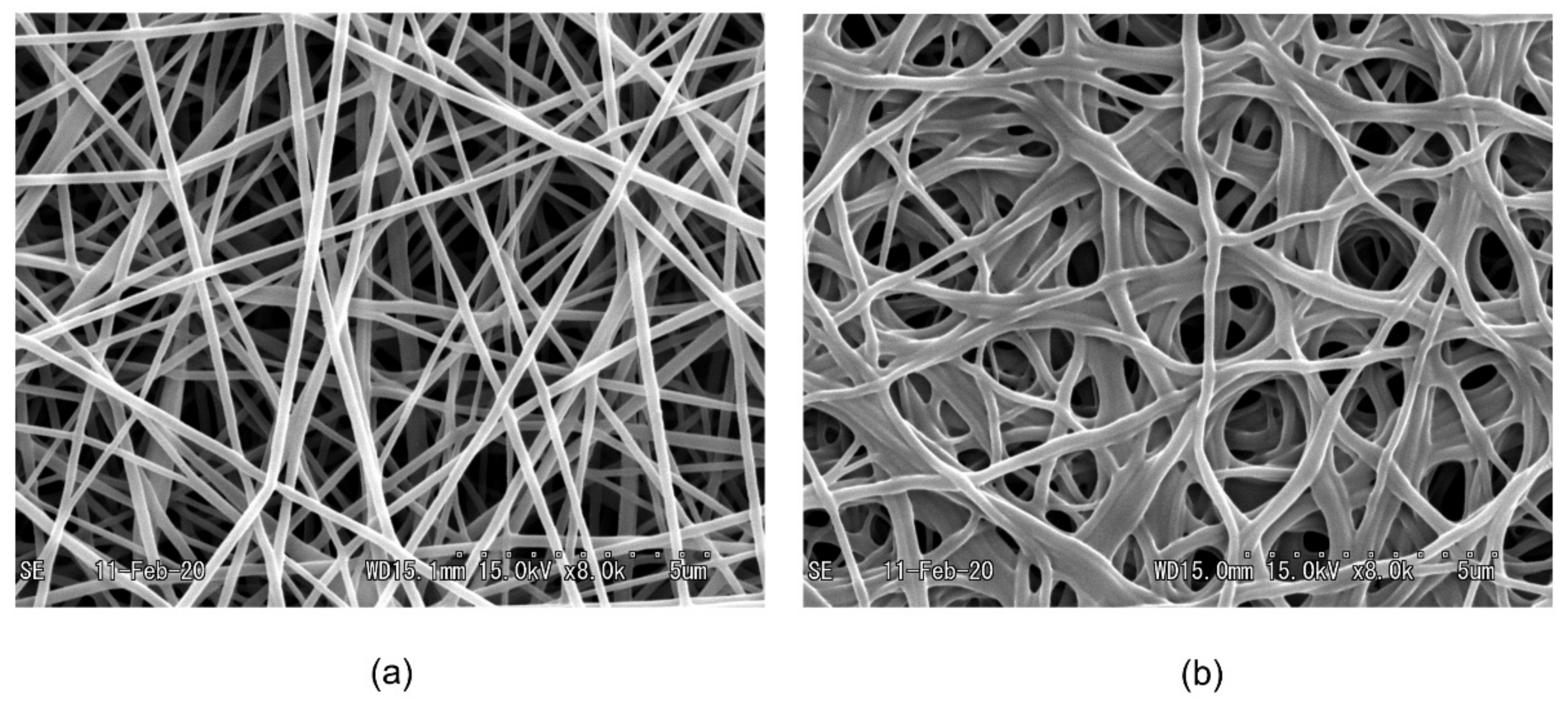 Selective Adsorption and Separation of Proteins by Ligand-Modified ...
