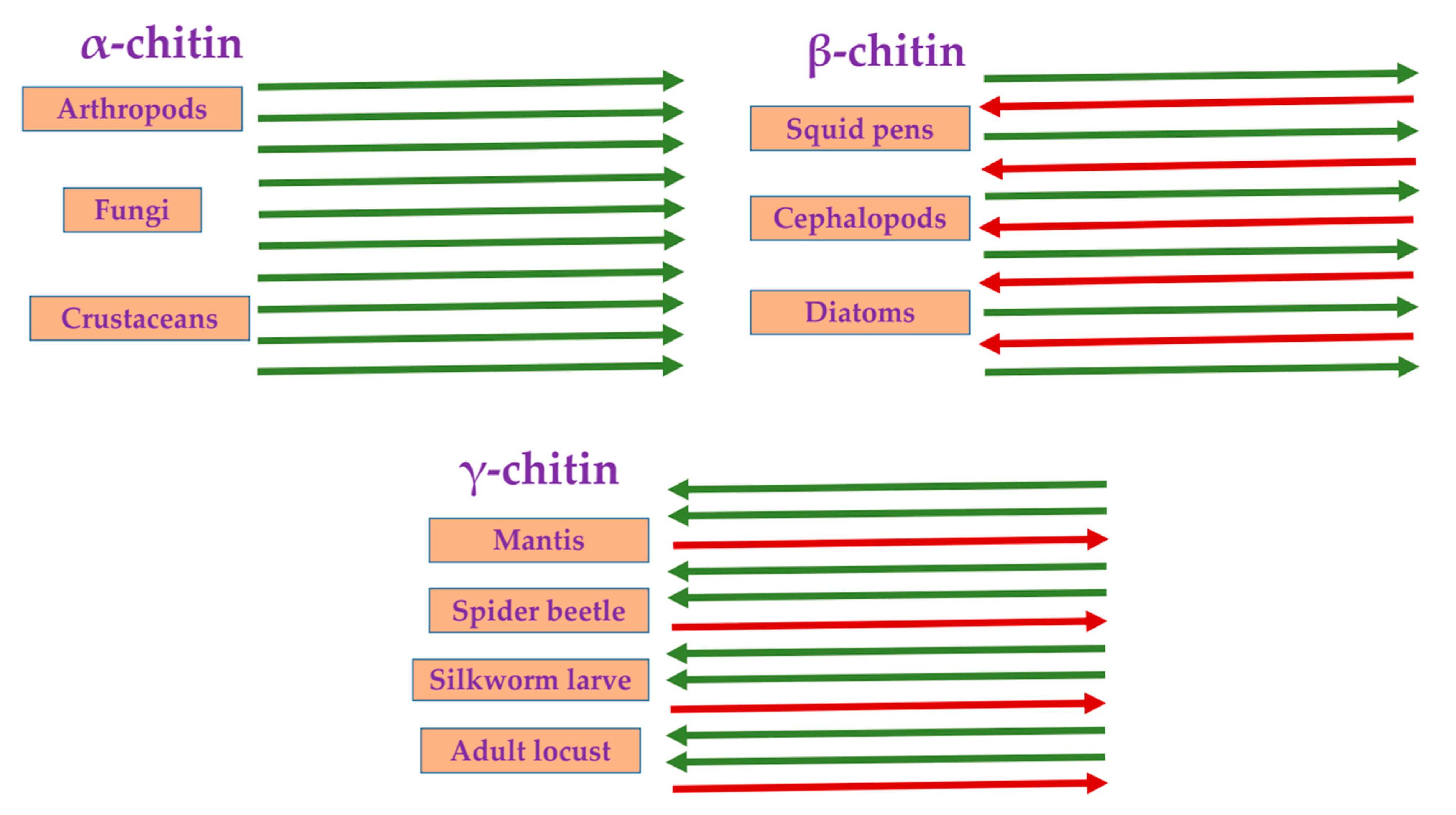 Reviewing Chitin/Chitosan Nanofibers and Associated Nanocomposites and ...