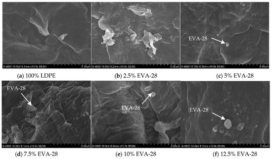 Characterization of Low-Density Polyethylene and LDPE-Based/Ethylene ...