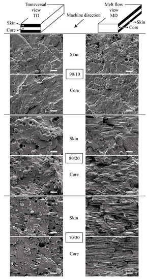 Polymers | Free Full-Text | Extruded-Calendered Sheets of Fully ...