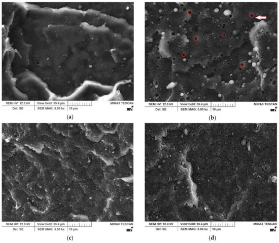 Polyethylene/Polyamide Blends Made of Waste with Compatibilizer ...
