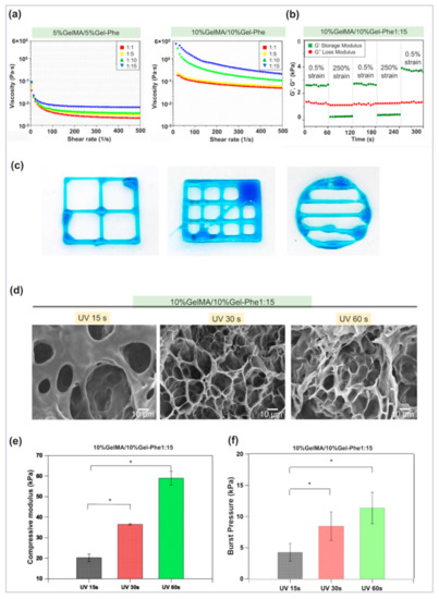 An Injectable Hybrid Gelatin Methacryloyl (GelMA)/Phenyl Isothiocyanate ...