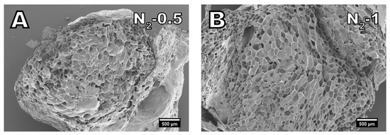 Foamability of Cellulose Palmitate Using Various Physical Blowing ...