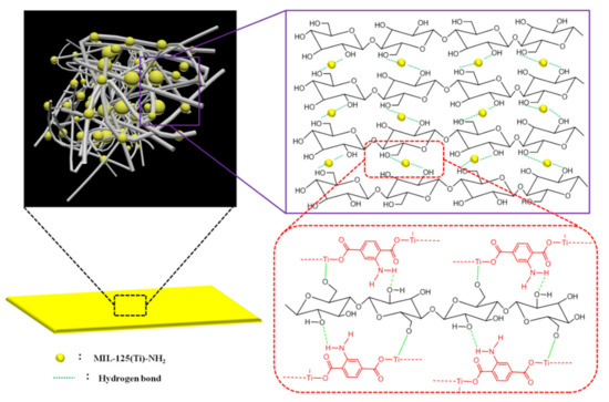 Sustainable Polymer Technologies