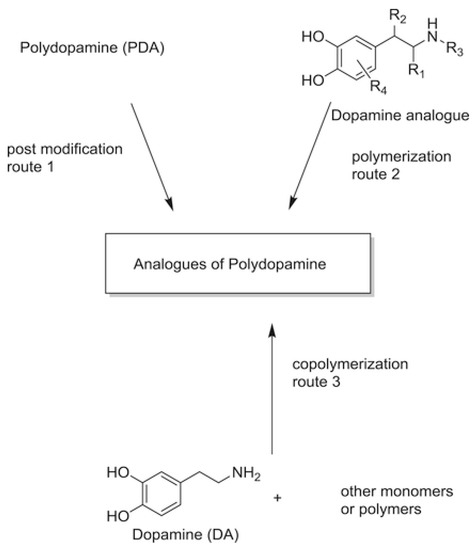 Recent Advances in Antioxidant Polymers: From Sustainable and Natural ...