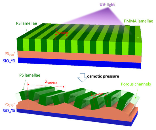 Polymers | Special Issue : Phase Behavior in Polymers: Morphology and ...