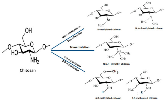 Polymers | Free Full-Text | Biomedical Applications of Quaternized Chitosan