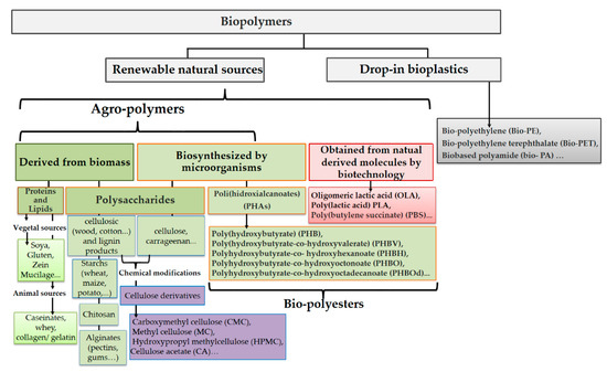 Biopolymers from Natural Resources