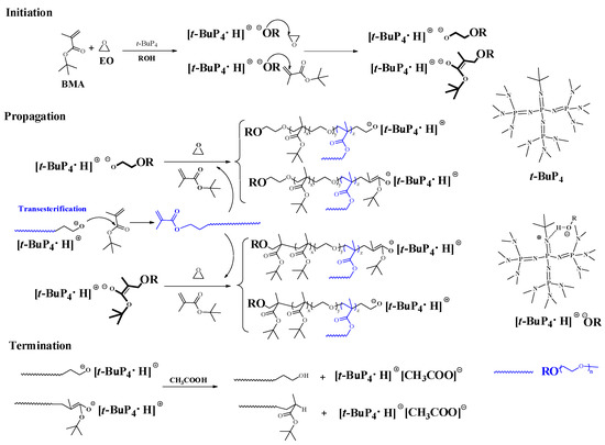 Hybrid Copolymerization of Ethylene Oxide and tert-Butyl Methacrylate with Organocatalyst
