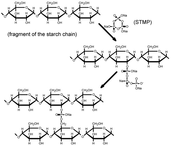 Effect of Esterification Conditions on the Physicochemical Properties ...