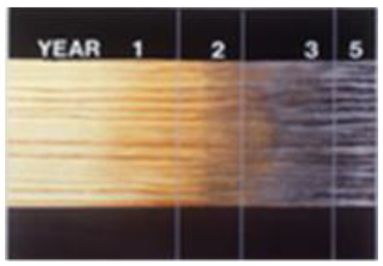 Understanding Wood Surface Chemistry and Approaches to Modification: A ...