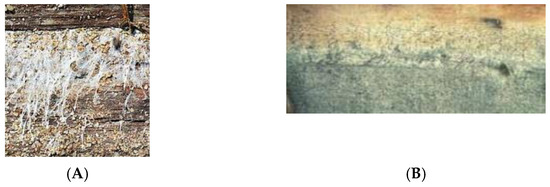 Understanding Wood Surface Chemistry and Approaches to Modification: A ...