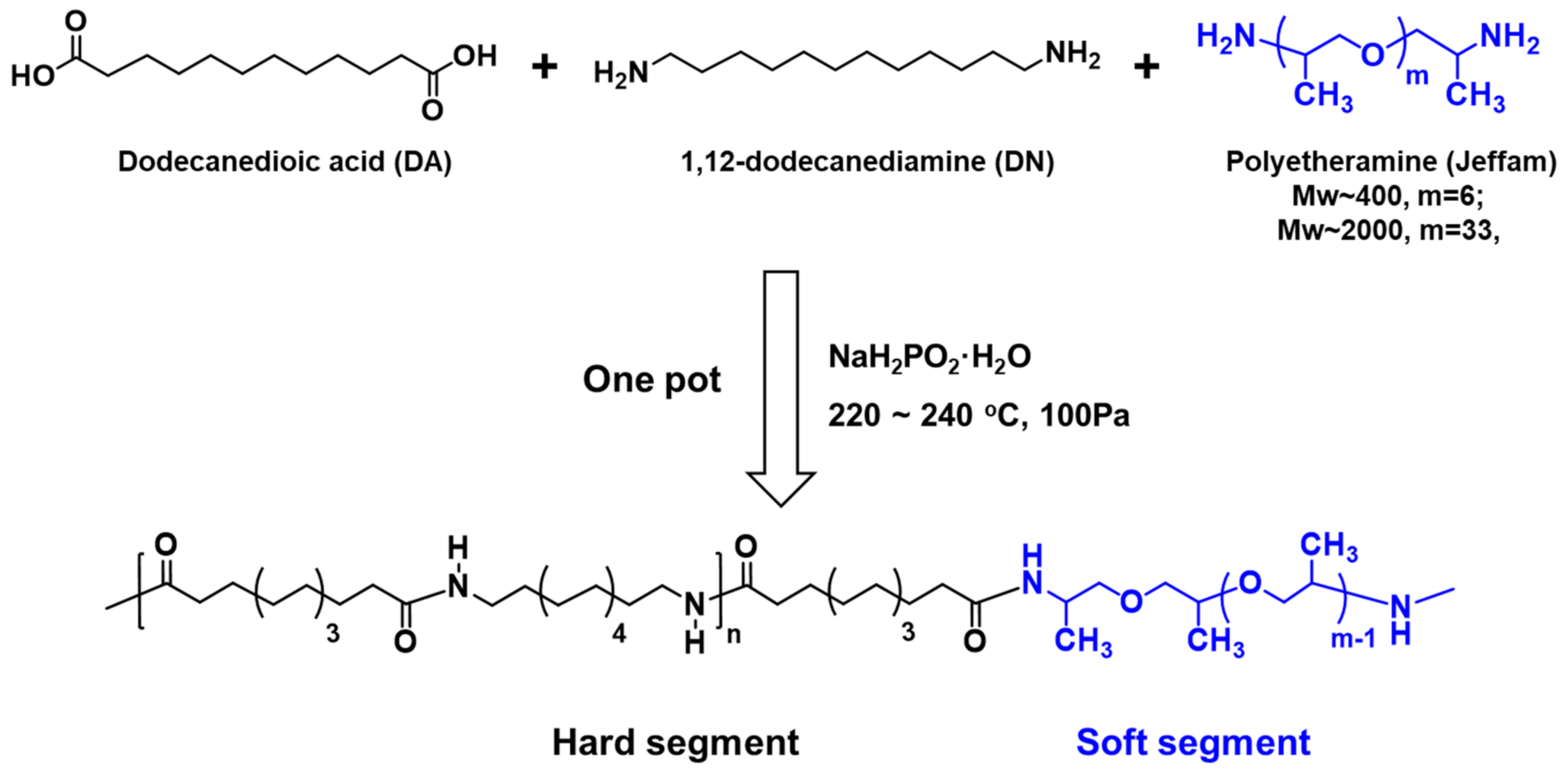 Facile Synthesis of Thermoplastic Polyamide Elastomers Based on ...