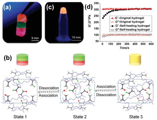 Multifunctional and Self-Healable Intelligent Hydrogels for Cancer Drug ...