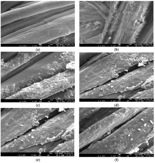 Coating of ZnO Nanoparticle on Cotton Fabric to Create a Functional ...