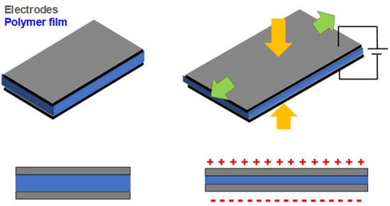Electroactive Polymers Obtained by Conventional and Non-Conventional ...