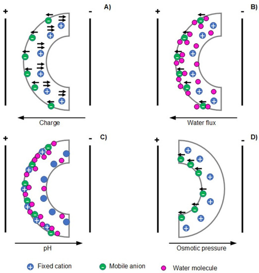 Electroactive Polymers Obtained by Conventional and Non-Conventional ...